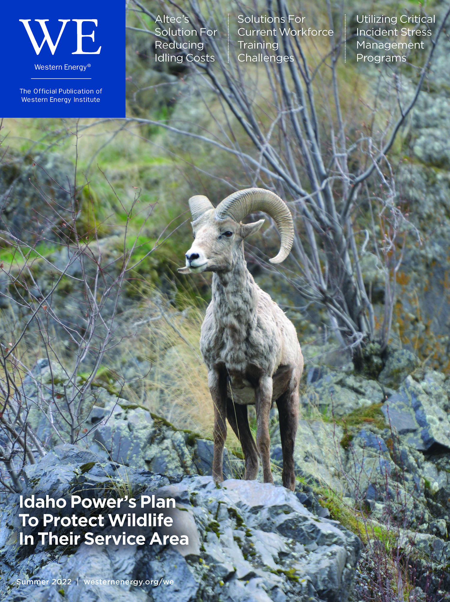 WE Magazine | Western Energy Institute